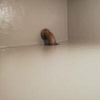 Jak szybko uszczelnić wilgotny zbiornik betonowy? - TrokenTech